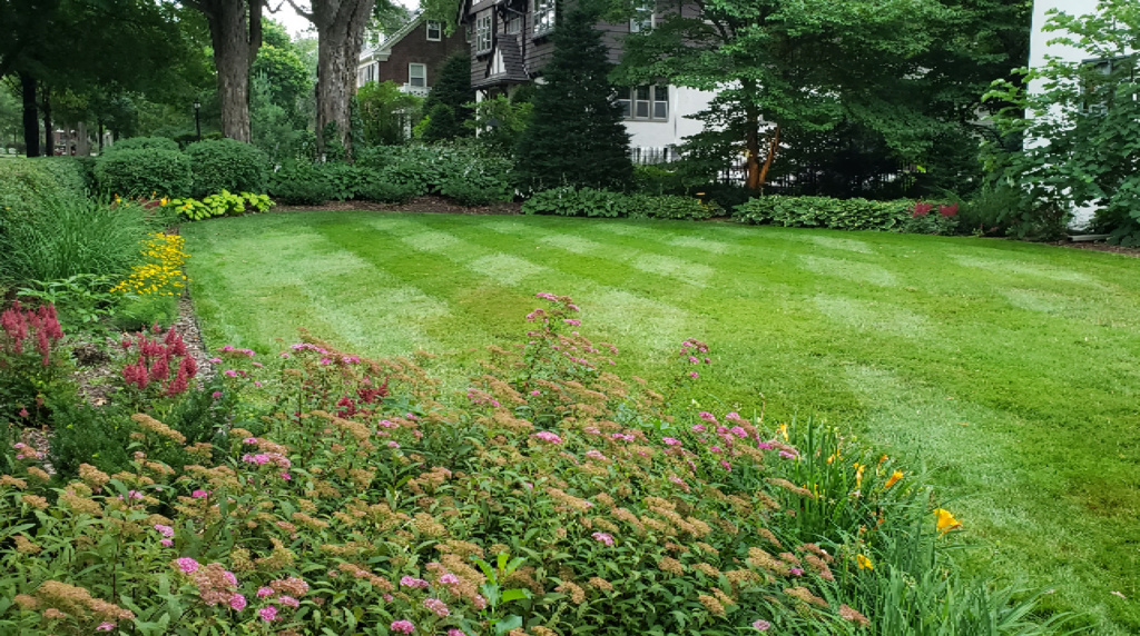 Gallery - Diamond Cut Lawn Care