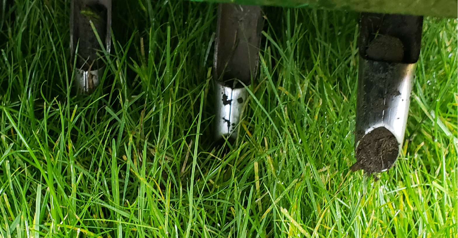 Lawn Care Services in Edina, Minneapolis & Richfield, MN | Diamond Cut
